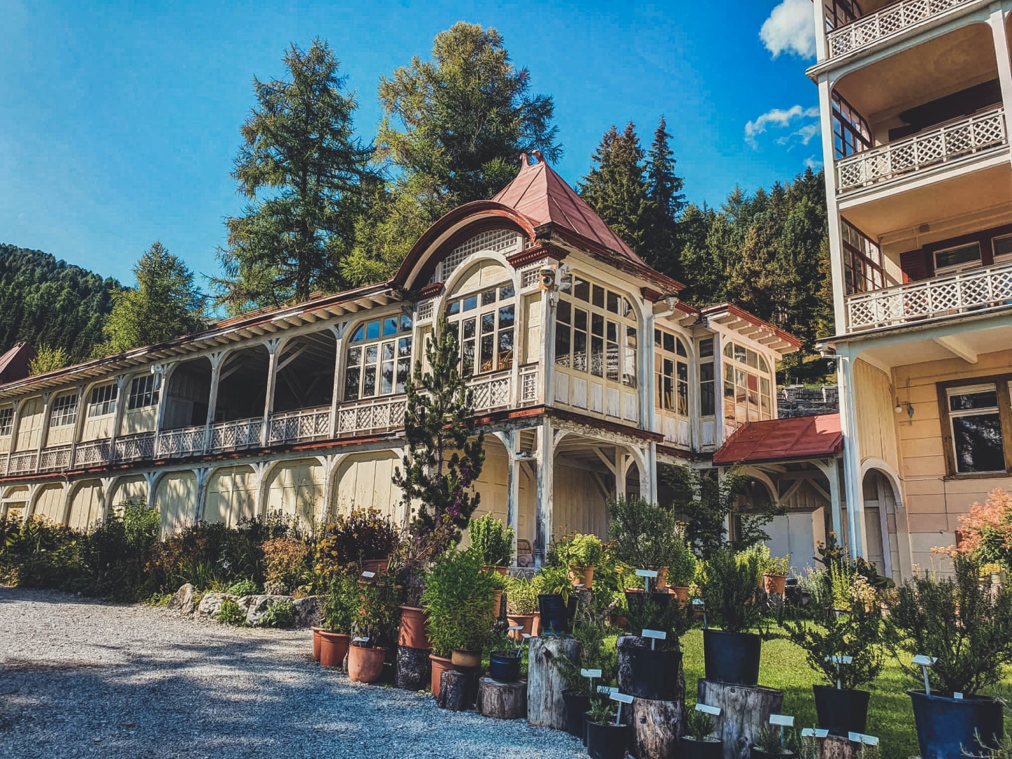 Alpinum Botanical Garden - Schatzalp